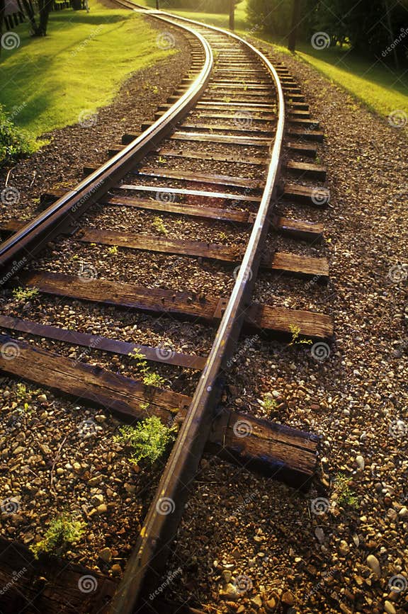 Train Tracks stock photo. Image of grass, leads, path - 1447018