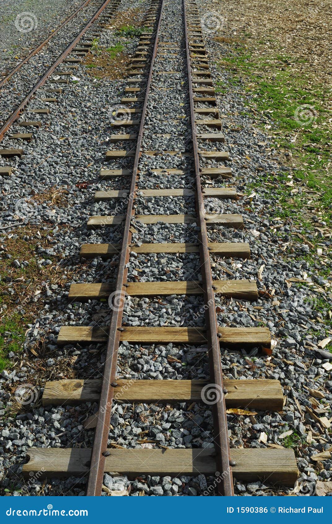 Train Tracks stock photo. Image of tracks, train, transportation - 1590386