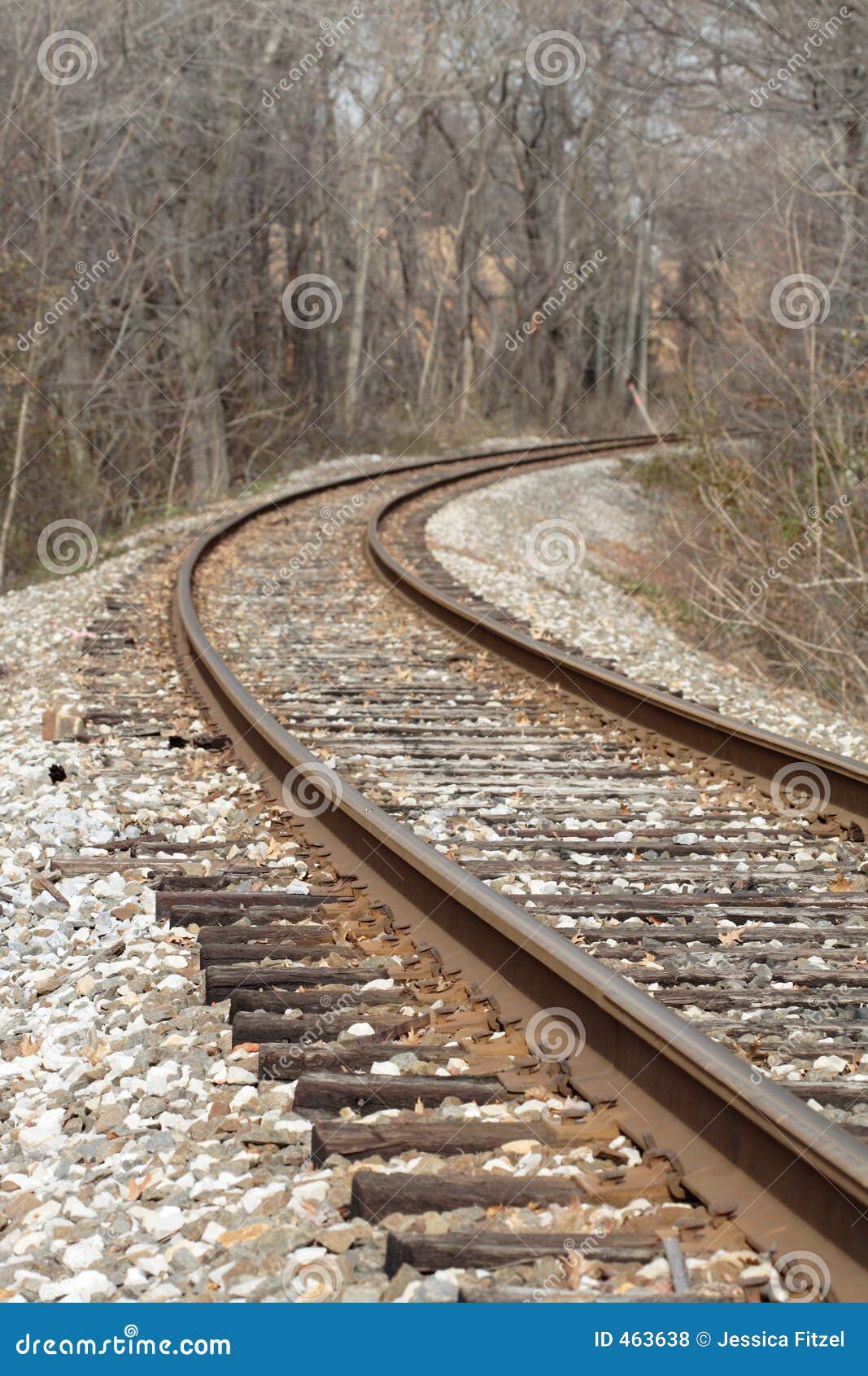 Train tracks 2 stock photo. Image of transportation, railroad - 463638