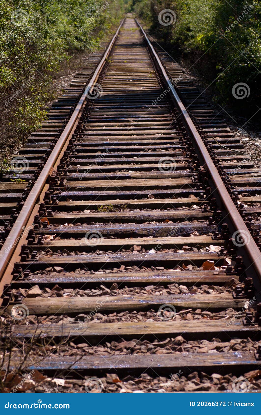Train tracks stock photo. Image of railroad, train, outdoor - 20266372