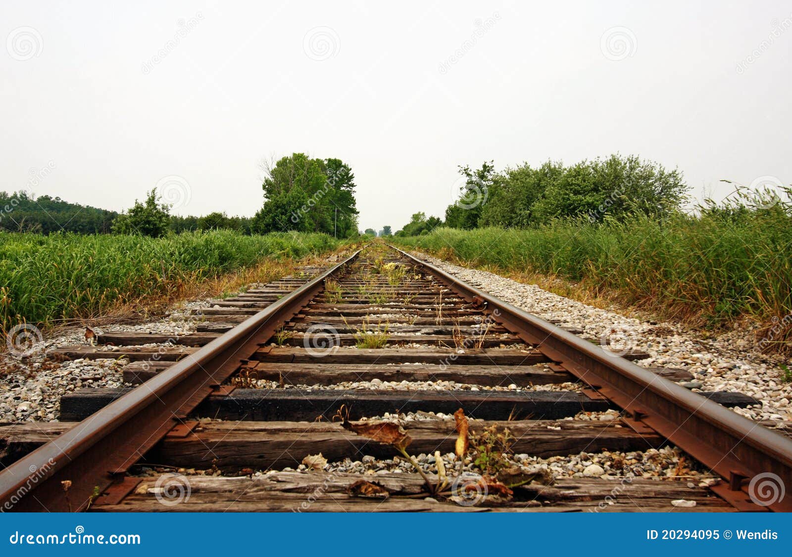 Train Track Side View