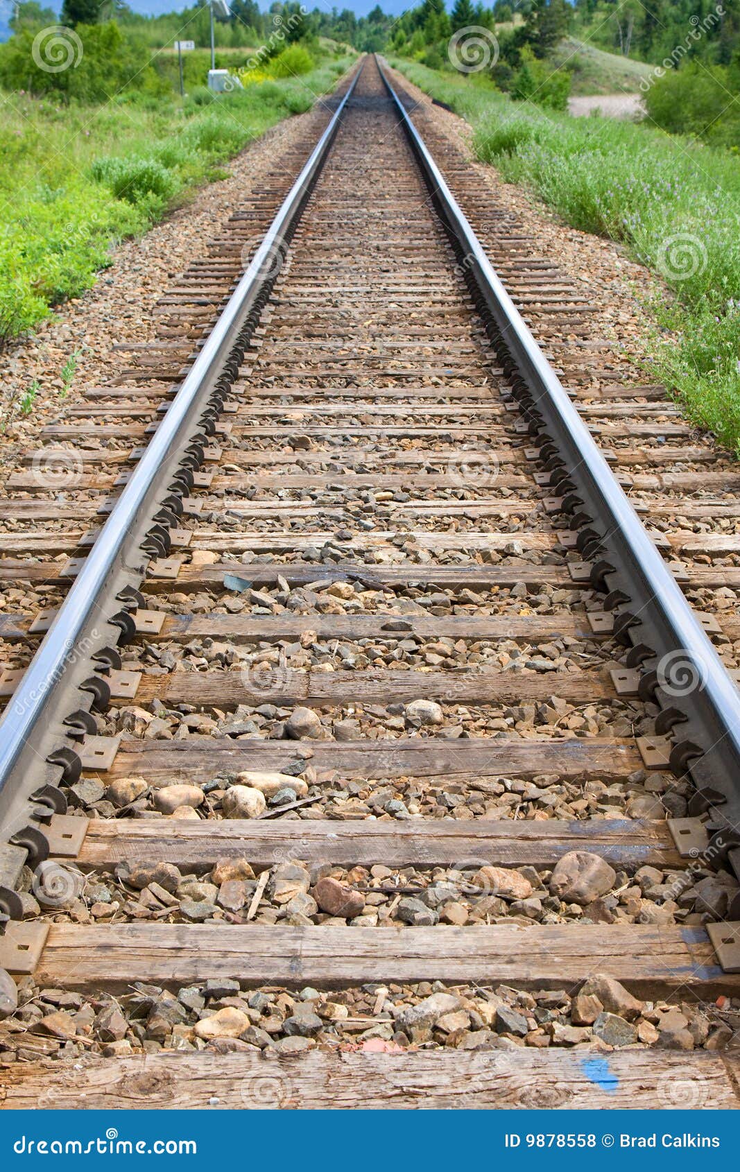 Train tracks stock photo. Image of travel, track, railroad - 9878558