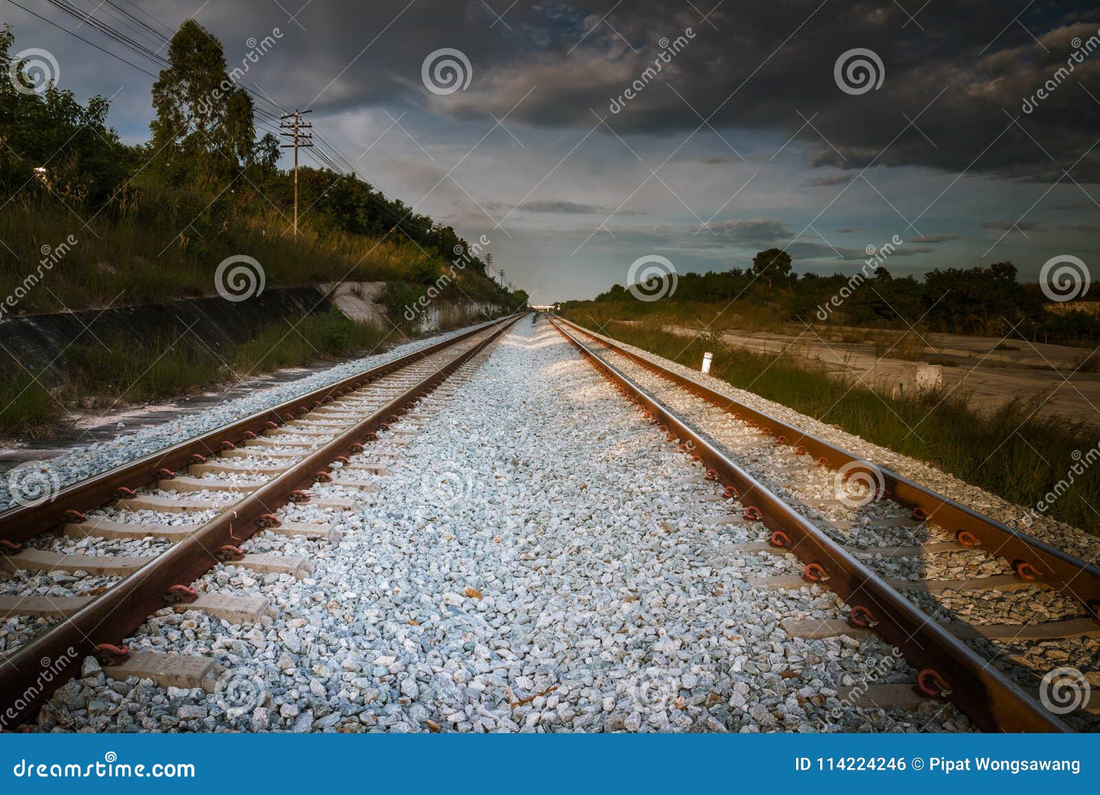 Train tracks stock photo. Image of rails, railroad, industry - 114224246