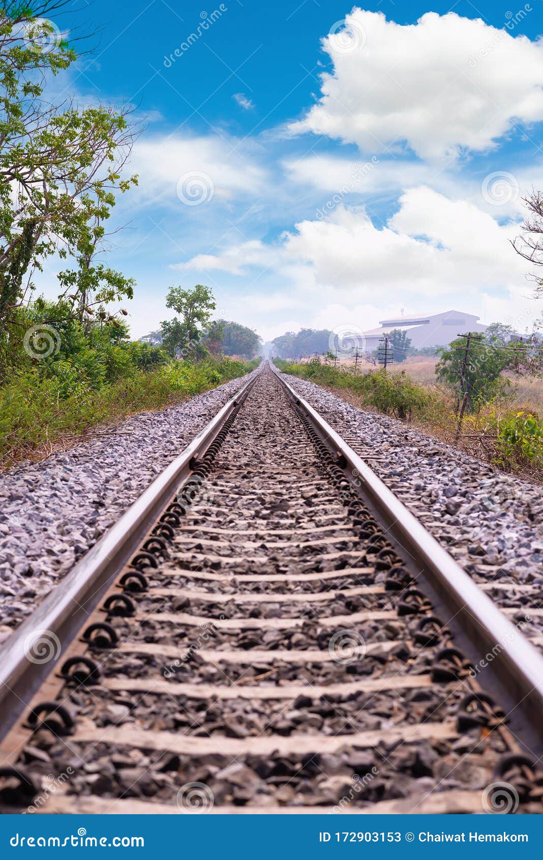 The Train Tracks on Both Sides Were Trees. with Sky and White Clouds ...