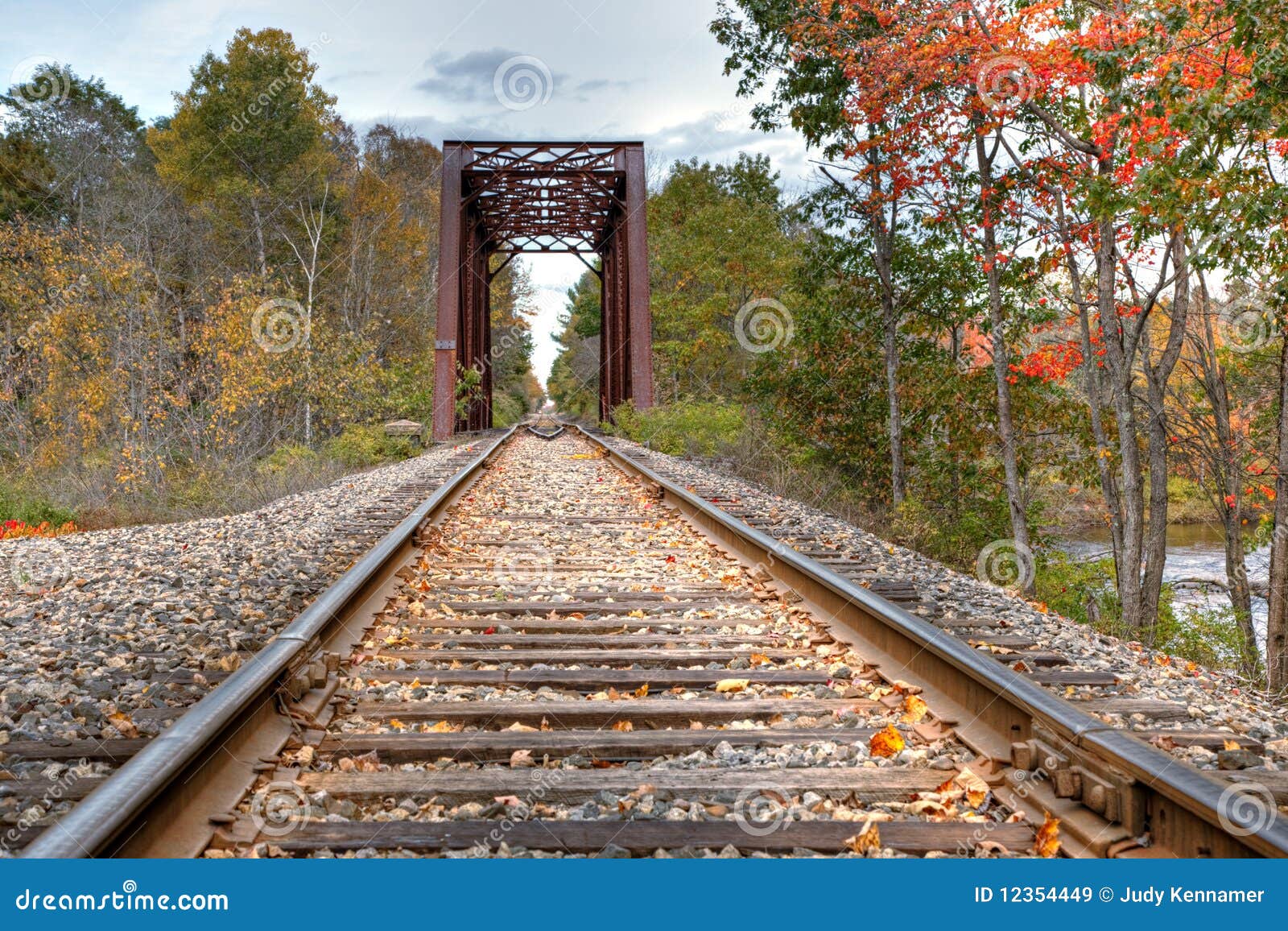 Train tracks and bridge stock image. Image of iron, forest - 12354449