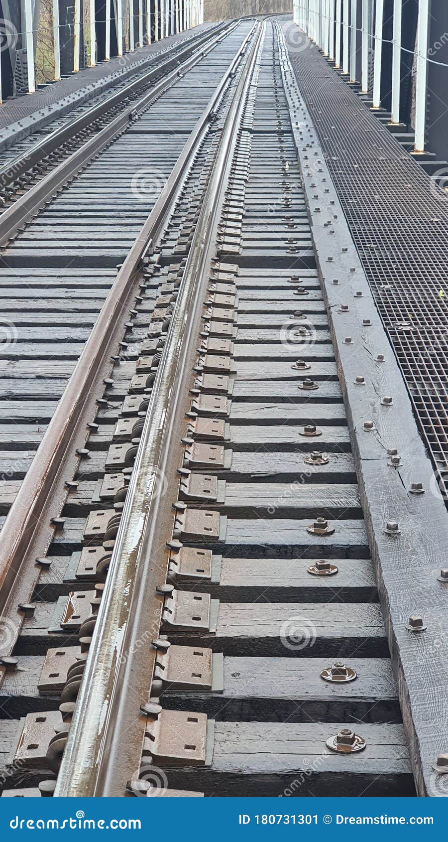 Train Tracks Bridge Beautiful Stock Image - Image of symmetry, bridge ...