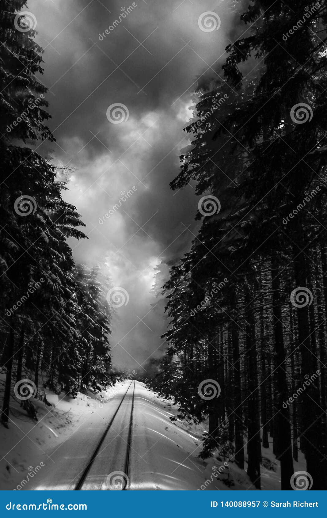 Train Tracks through a Dark Snowy Forest Stock Image - Image of frozen ...