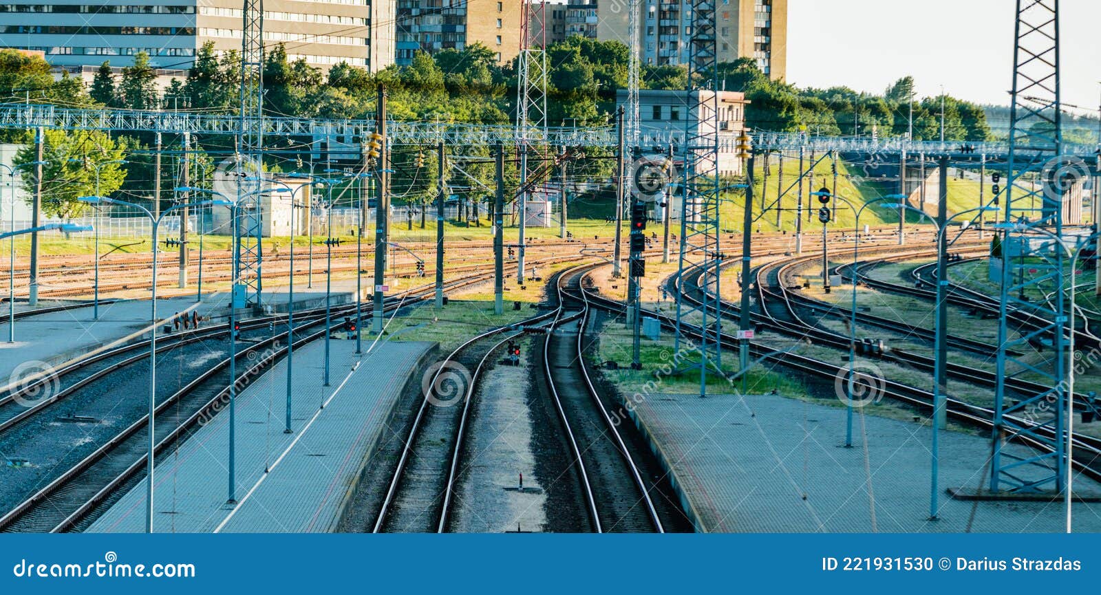Train tracks daytime stock photo. Image of nature, train - 221931530