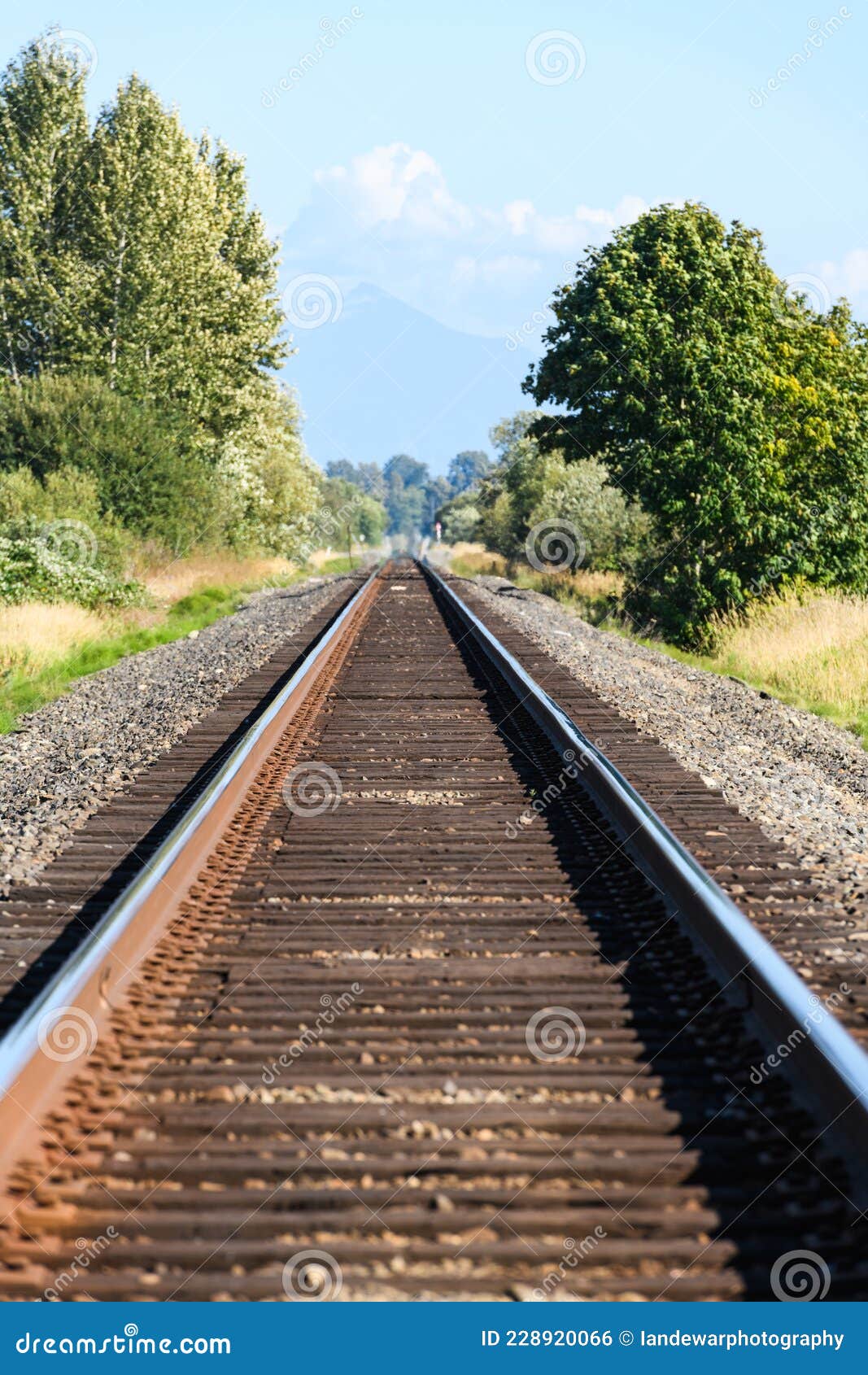 Train Tracks Disappearing into the Distance Stock Photo - Image of line ...
