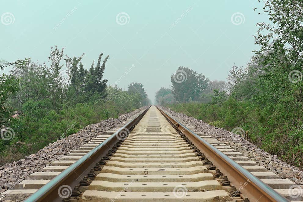 Train Tracks stock photo. Image of woods, green, trees - 70788872