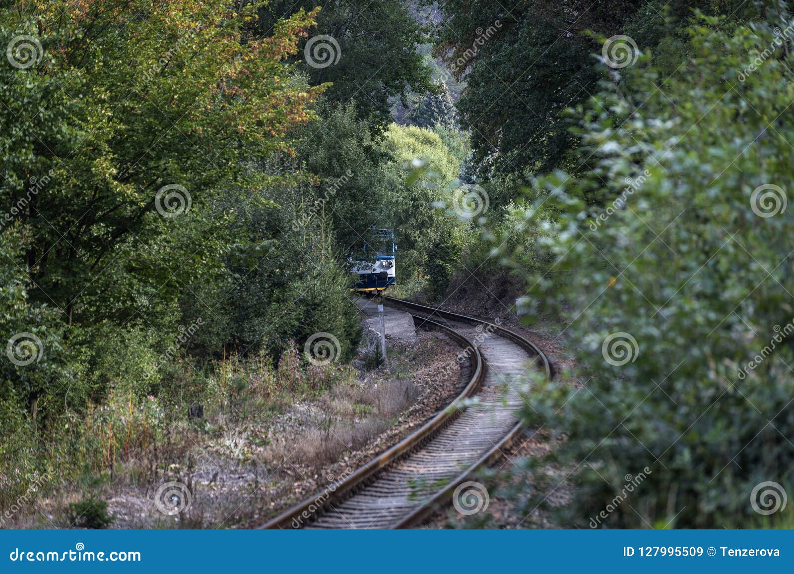 A Train on the Tracks Emerging in a Bend between the Green Bushes Stock ...