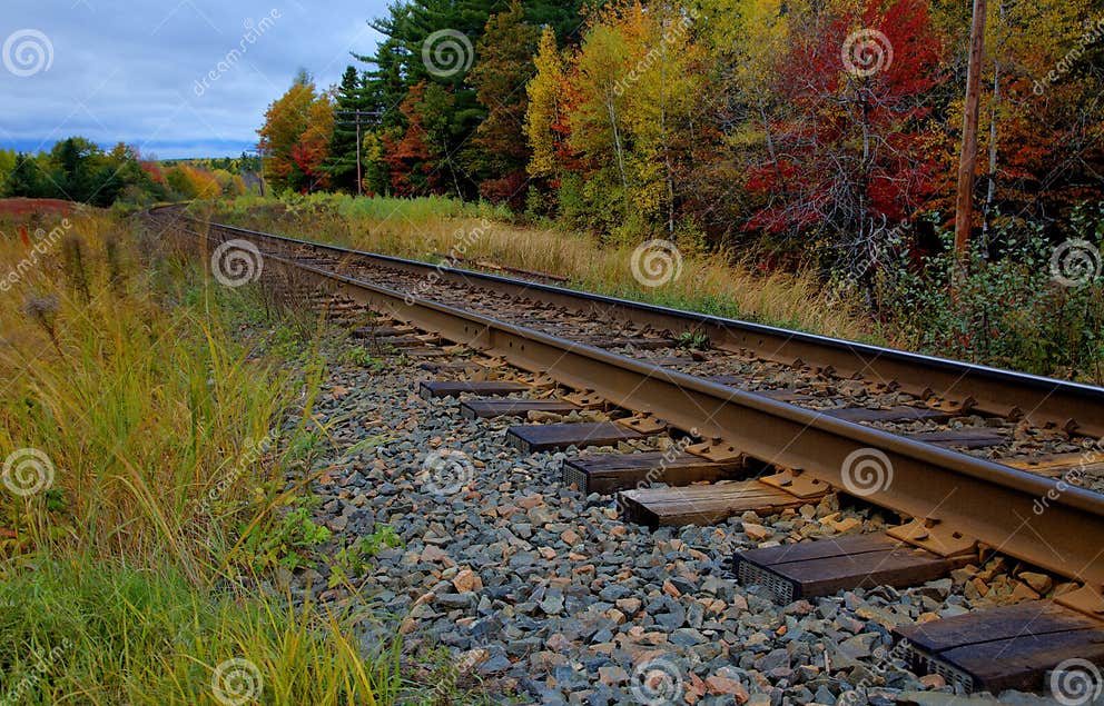 Train Tracks in Fall stock photo. Image of steel, rural - 21716488