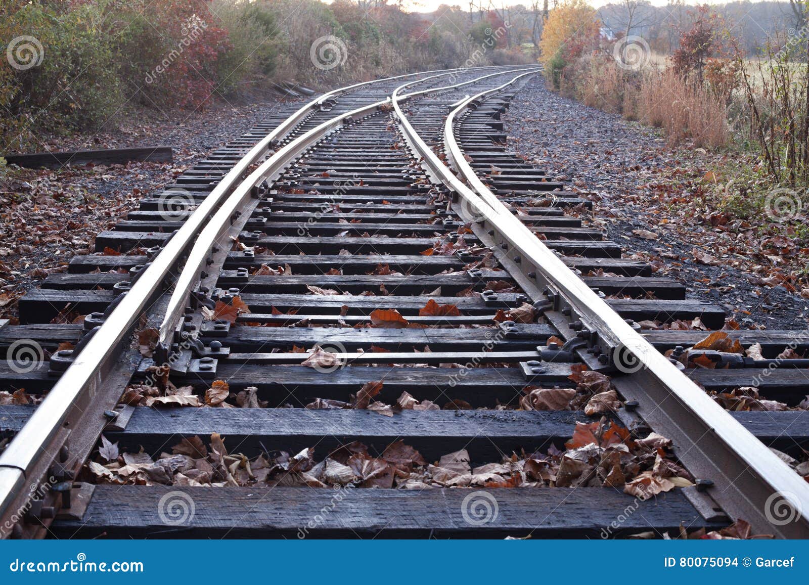 Train Tracks in a Fall Landscape Stock Photo - Image of trains, tracks ...