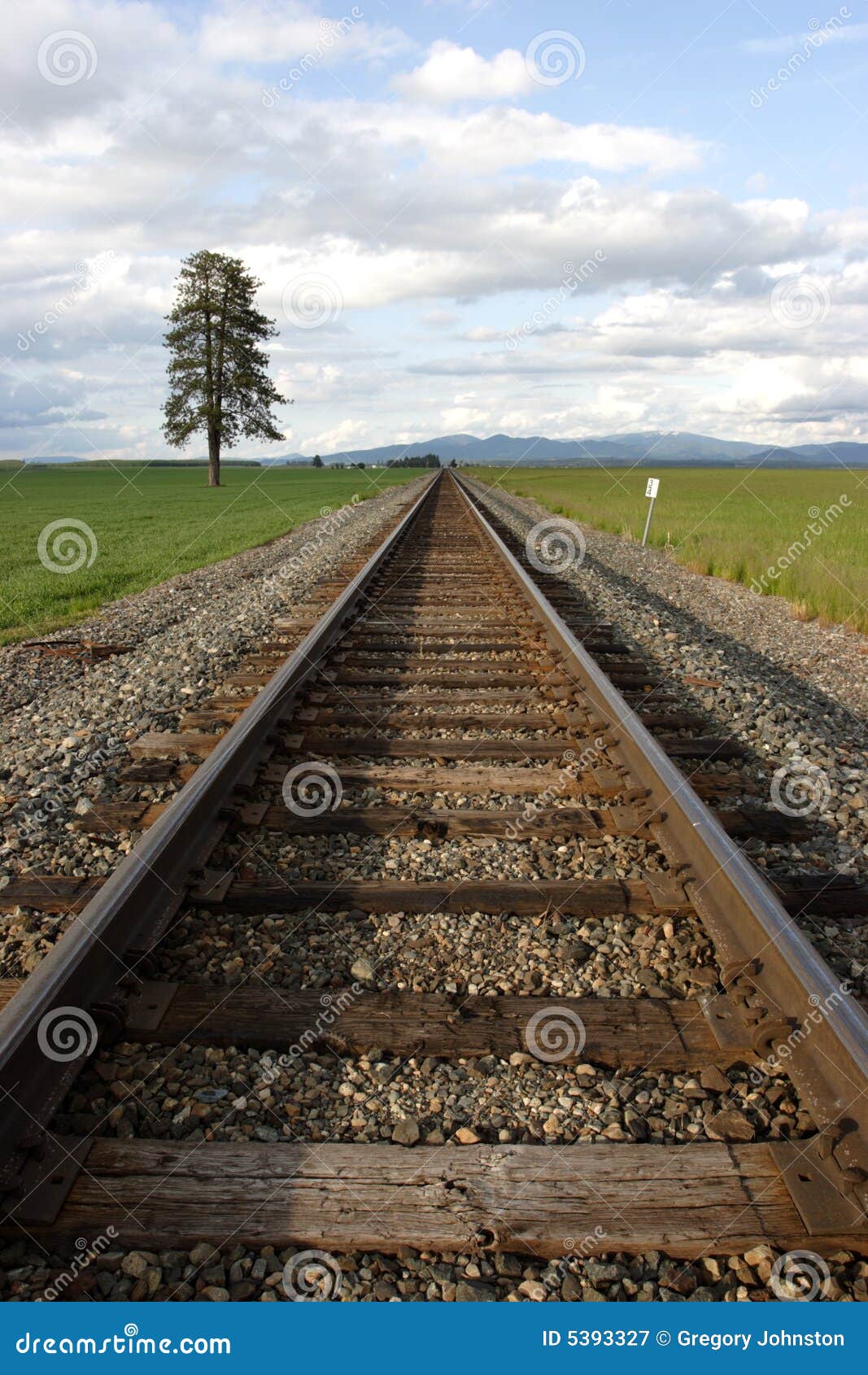 Train Tracks through the Field. Stock Image - Image of path, green: 5393327
