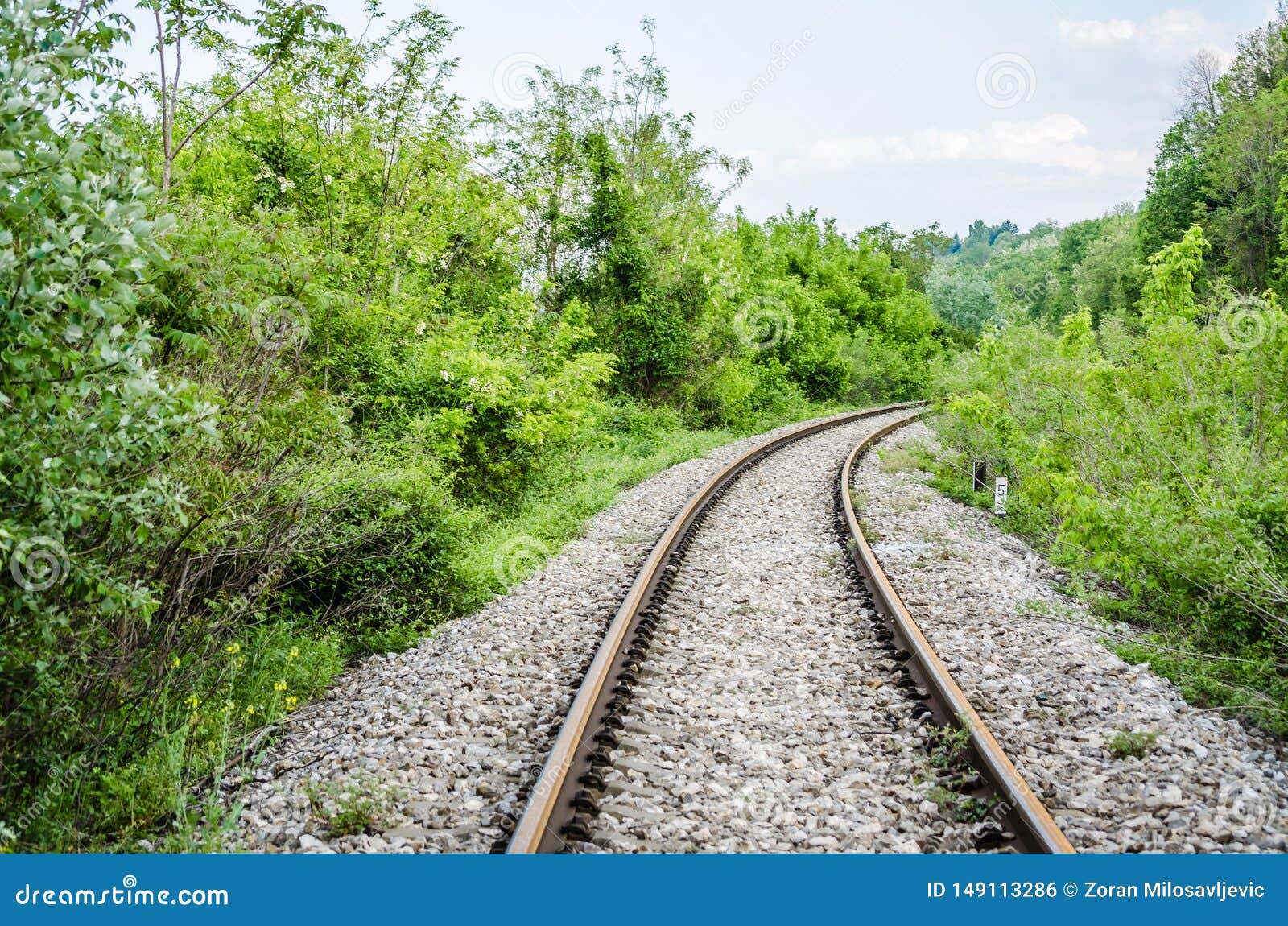 Train Tracks with the Forest Stock Photo - Image of landscape, abstract ...