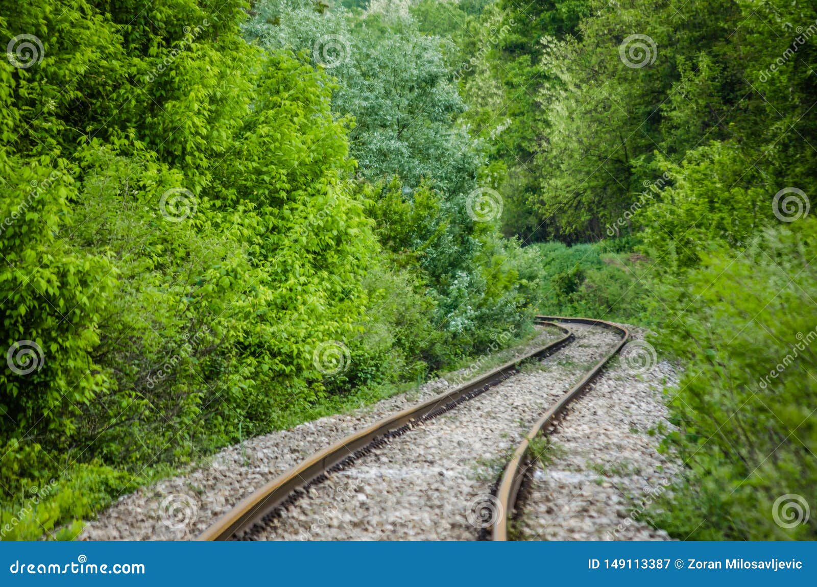 Train Tracks with the Forest Stock Image - Image of blue, concept ...