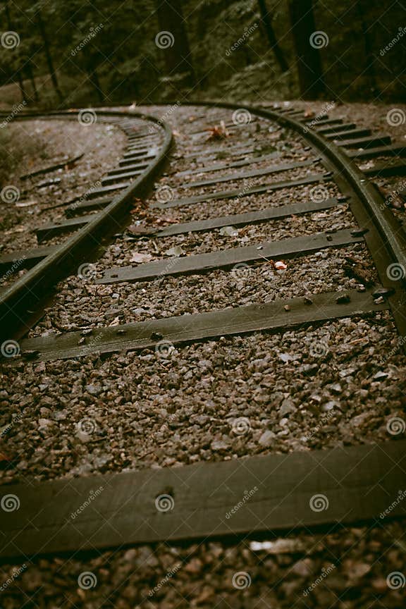 Train Tracks in the Forest 2 Stock Image - Image of sunlight ...