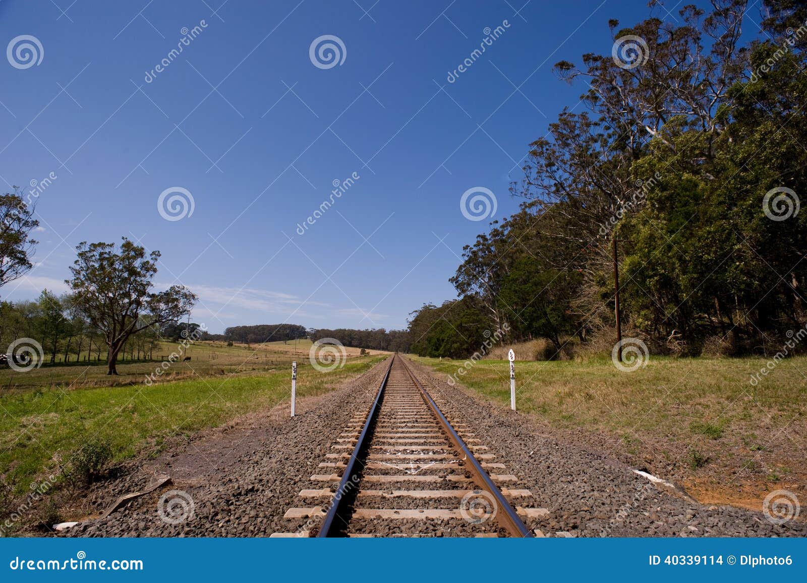 Train Tracks stock photo. Image of metal, freight, bush - 40339114
