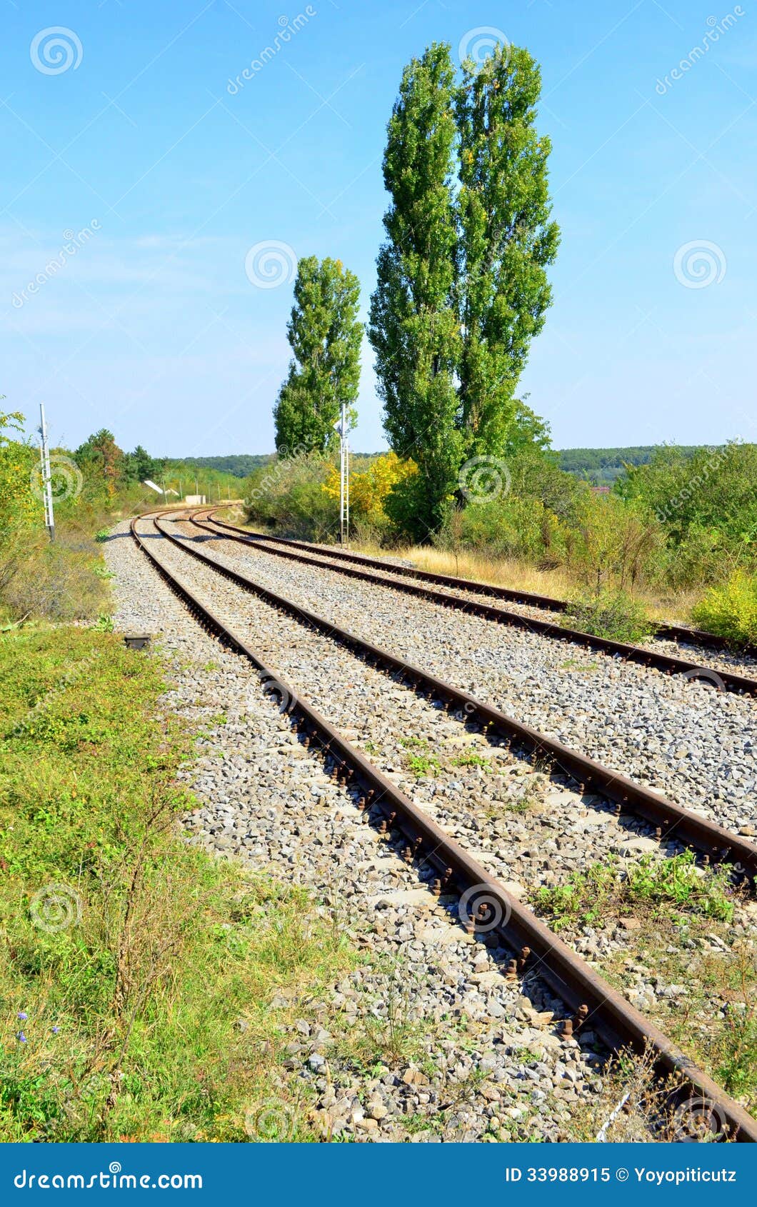 Train tracks stock image. Image of transportation, grassy - 33988915