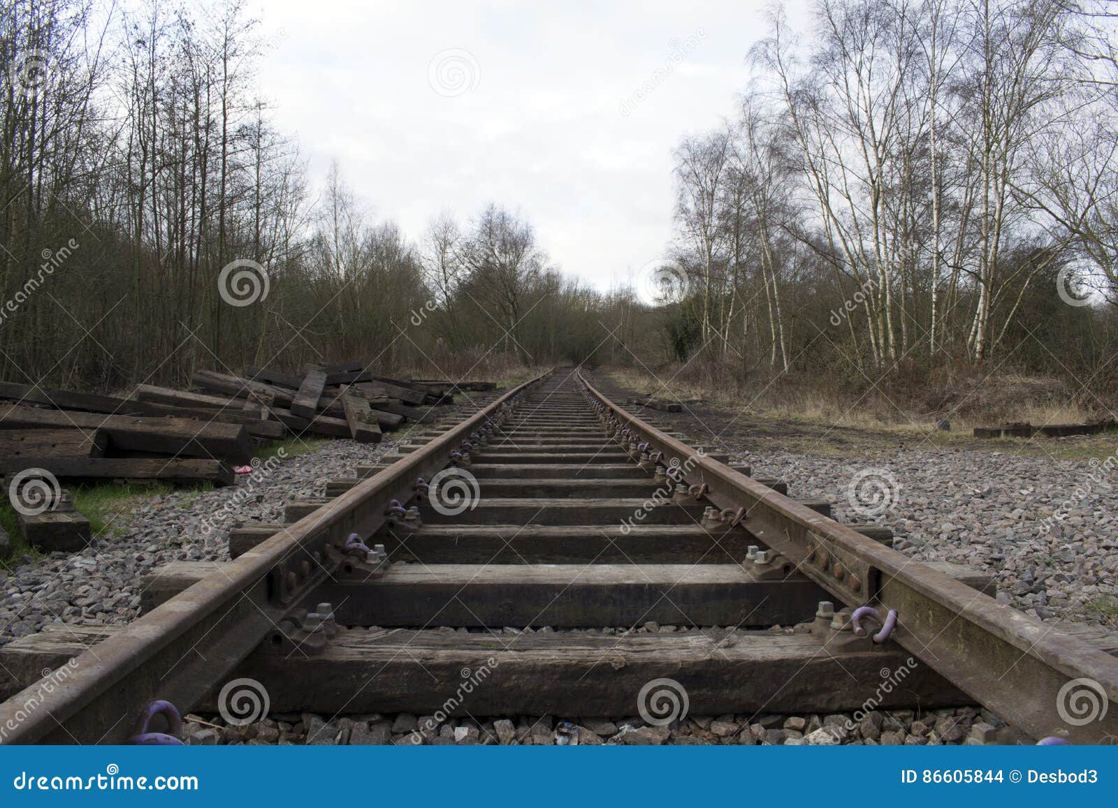 Train Tracks stock photo. Image of path, line, destination - 86605844