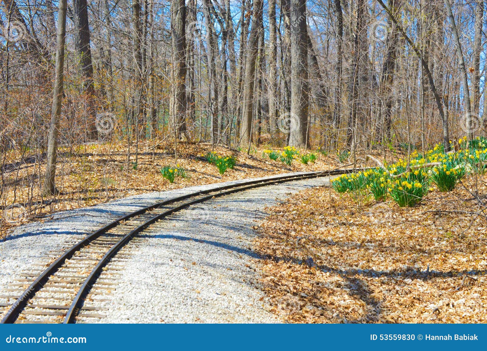 Train Tracks stock photo. Image of destiny, miniature - 53559830