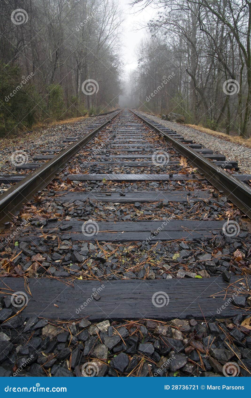 Train Tracks and Mist stock image. Image of mist, rails - 28736721