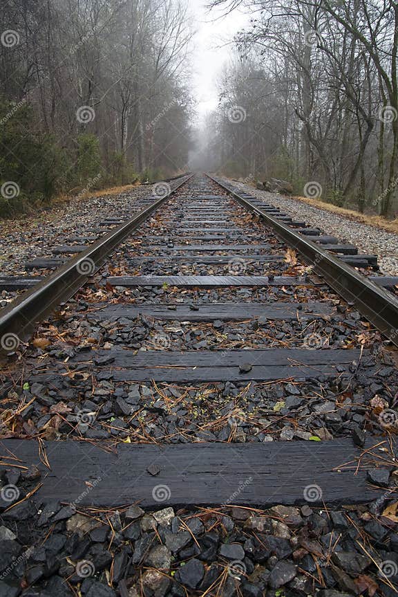 Train Tracks and Mist stock image. Image of mist, rails - 28736721