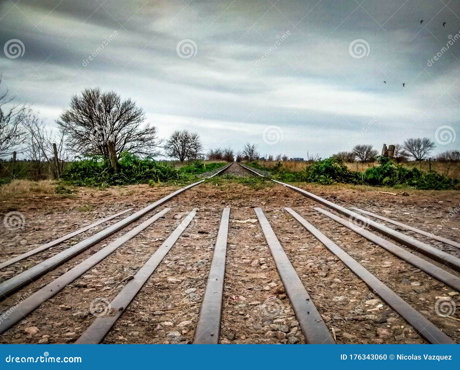 Train Tracks Moving Away on the Horizon Stock Photo - Image of feeding ...