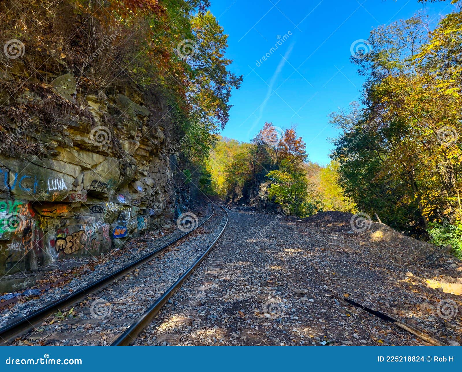 Train Tracks Next To Cliff in Forest Editorial Stock Image - Image of ...