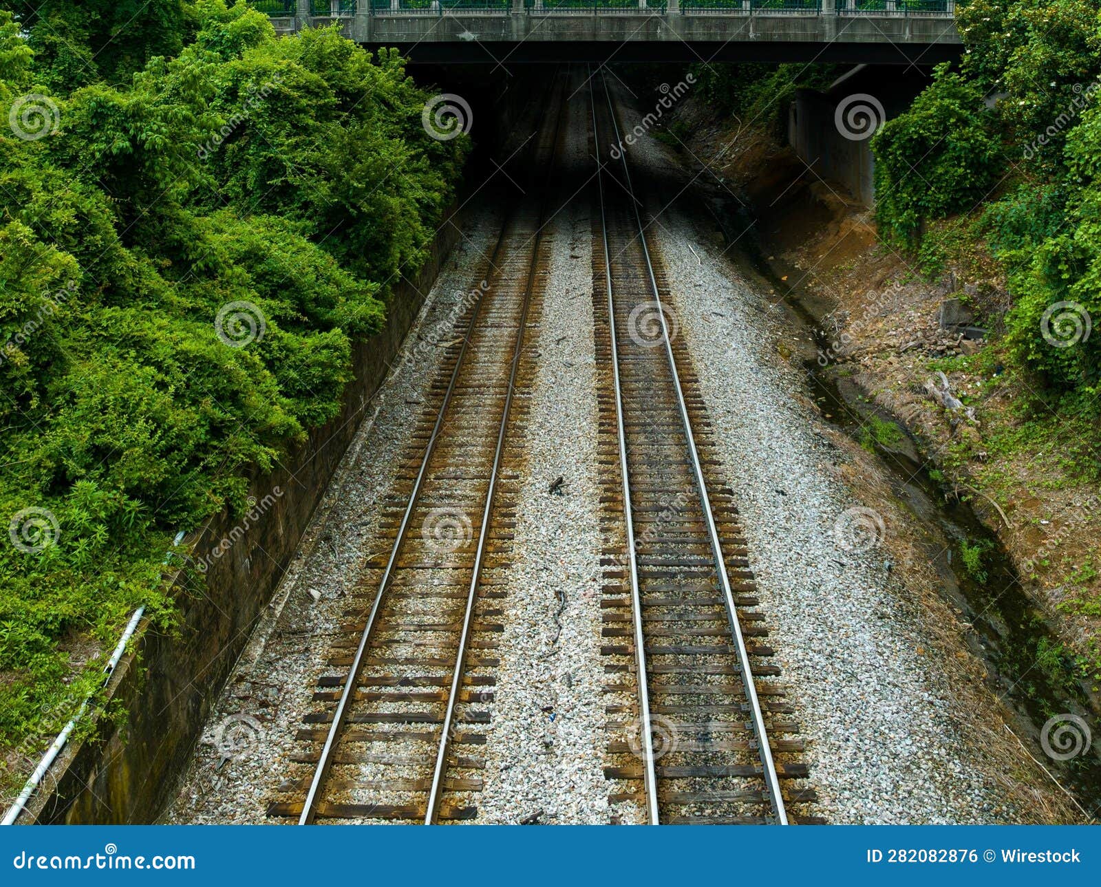 Train Tracks Passing Under a Bridge Surrounded by Lush Greenery ...