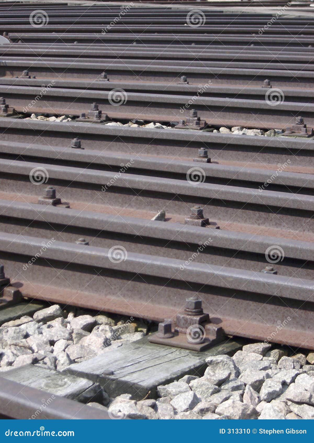Train tracks in rail yard stock photo. Image of freight - 313310