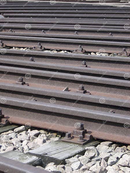 Train tracks in rail yard stock photo. Image of freight - 313310