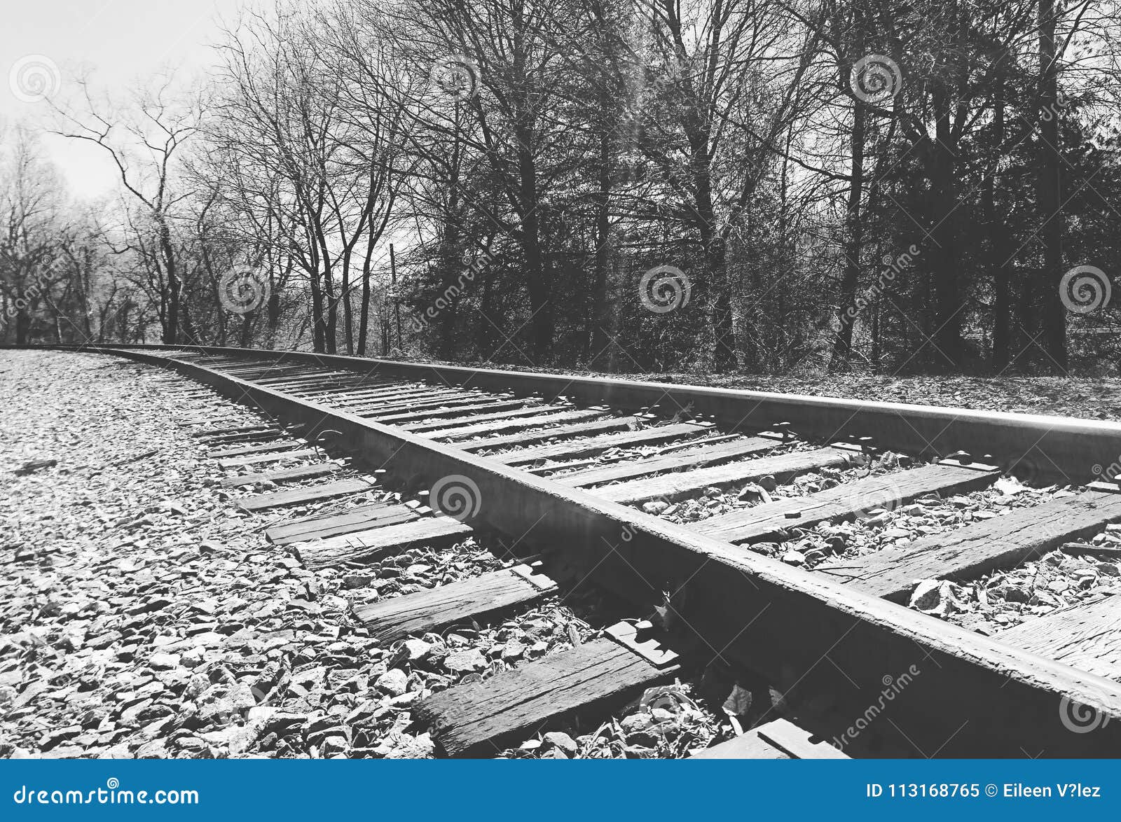 Train tracks stock image. Image of middle, outside, rails - 113168765