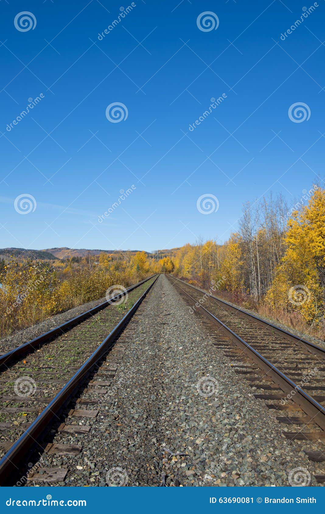 Train Tracks stock image. Image of valley, canada, view - 63690081
