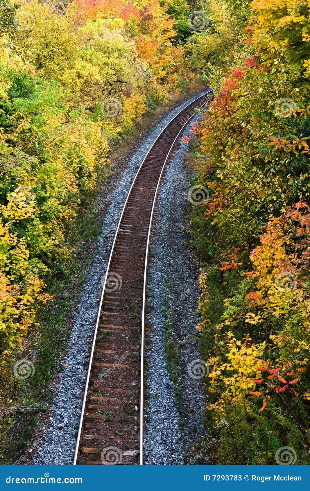 Train Tracks Run through Autumn Stock Image - Image of autumn, route ...