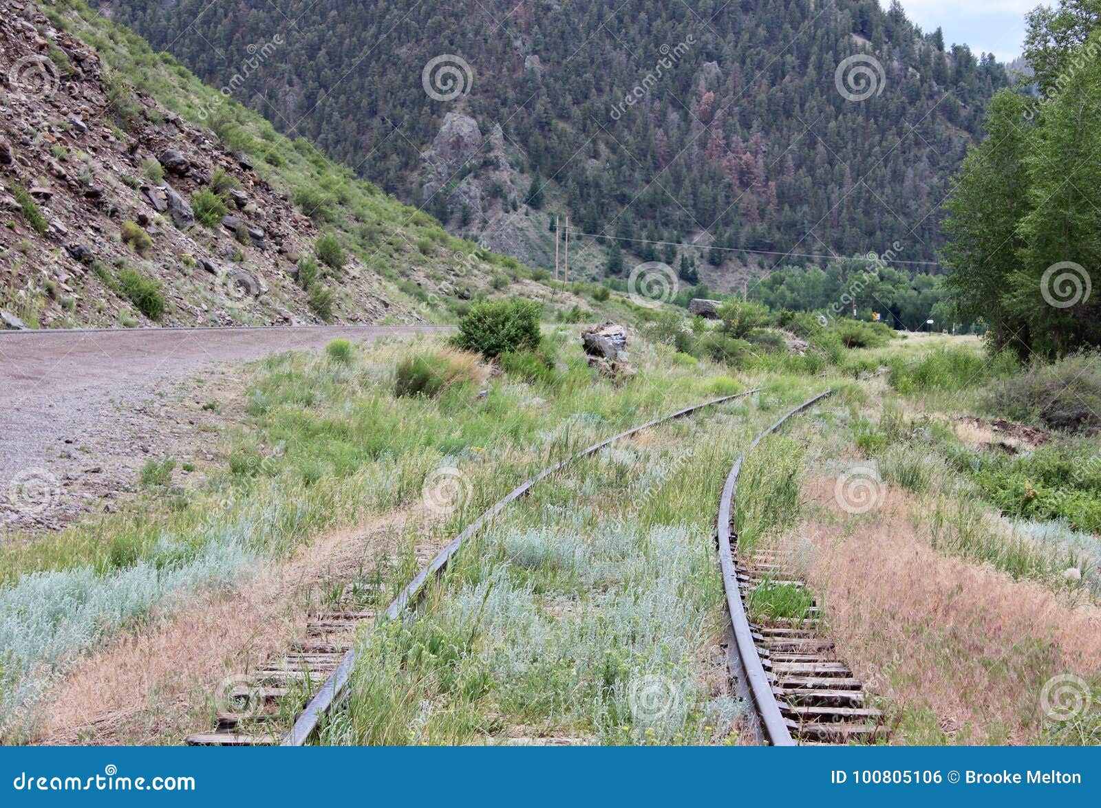 Train Tracks Running through the Mountains Stock Photo - Image of ...