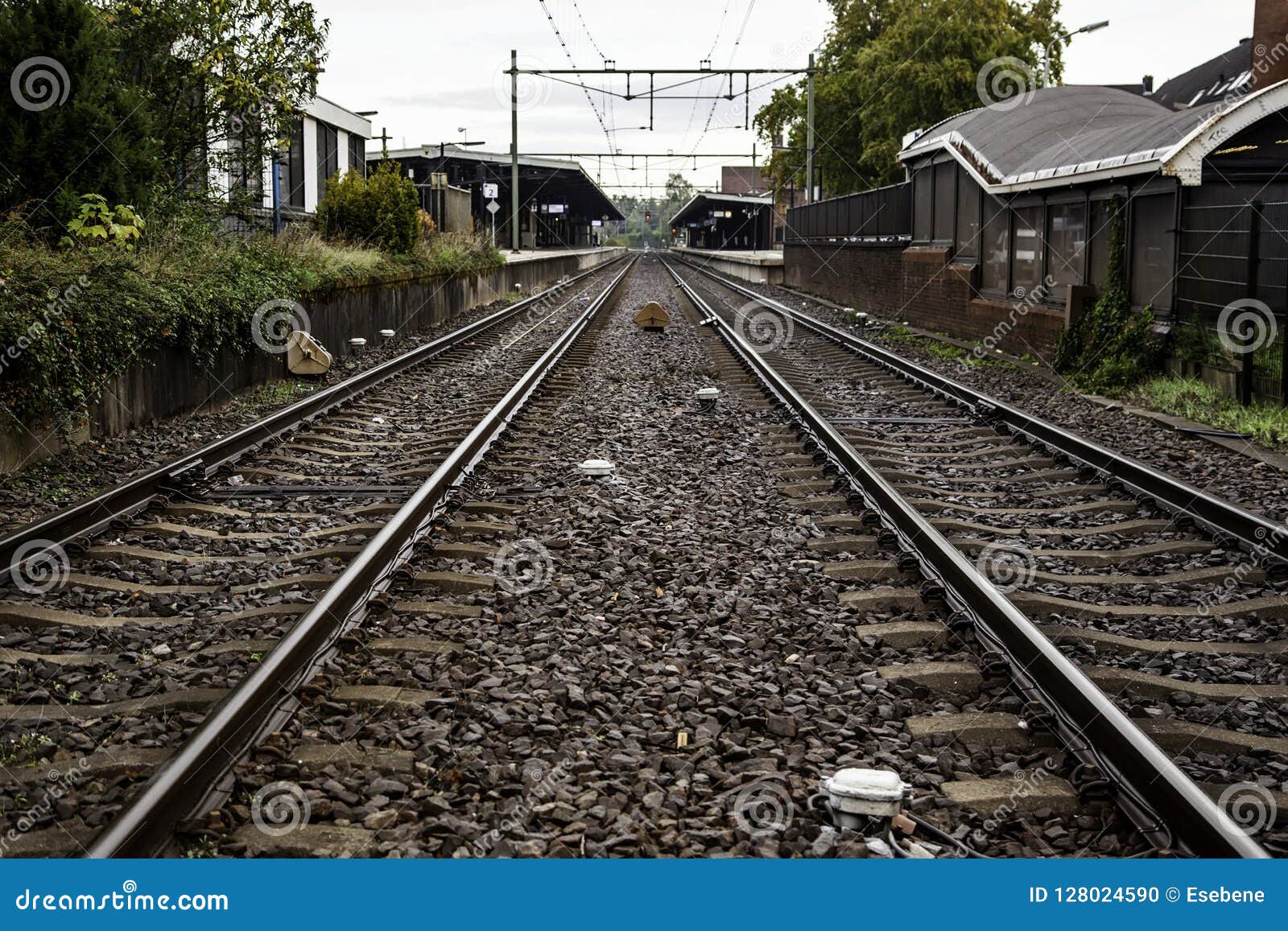 Train tracks in a station stock photo. Image of forest - 128024590