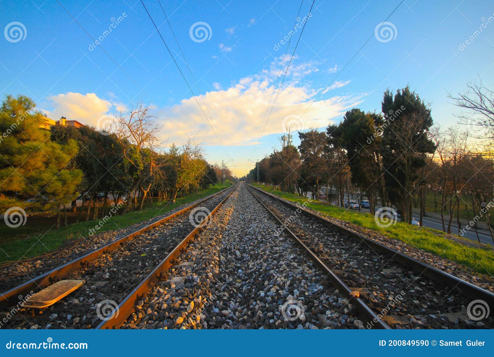 Train Tracks between Symmetrical Trees Stock Photo - Image of rail ...