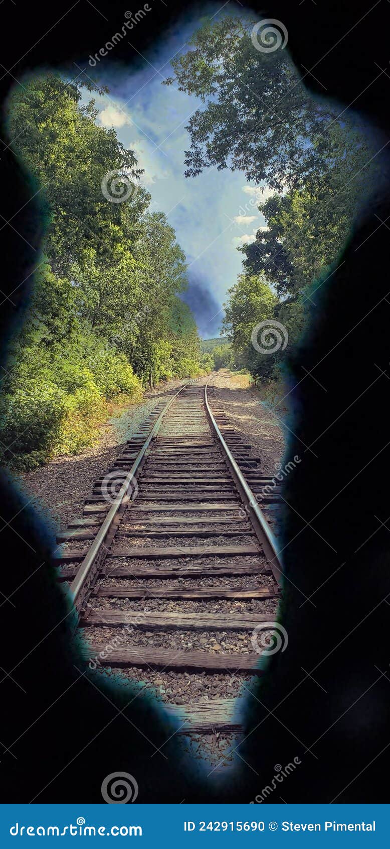 Train tracks to nowhere stock photo. Image of treeline - 242915690