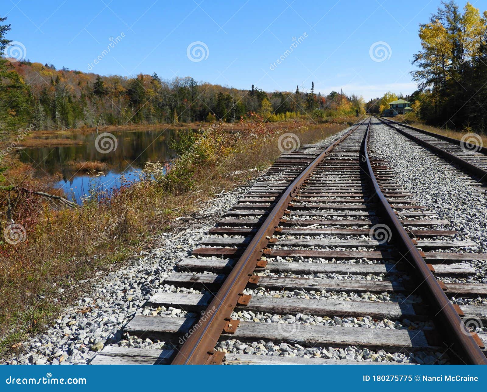 Train Tracks through the Wilderness of Big Moose ADK Stock Image ...