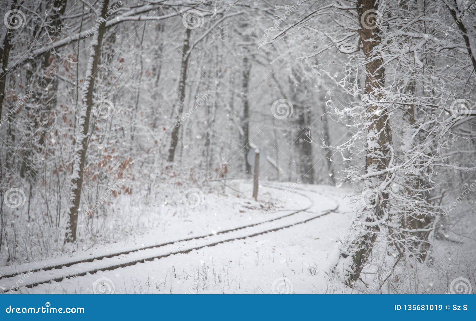 Train Tracks in Winter Forest Stock Image - Image of frost, background ...