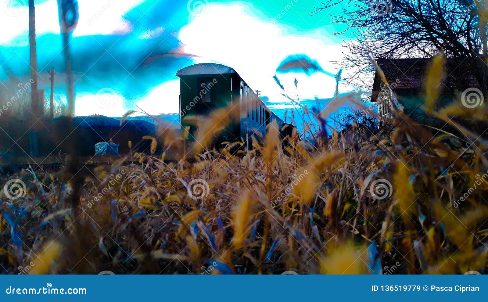 Teaca Station Photos - Free & Royalty-Free Stock Photos from Dreamstime