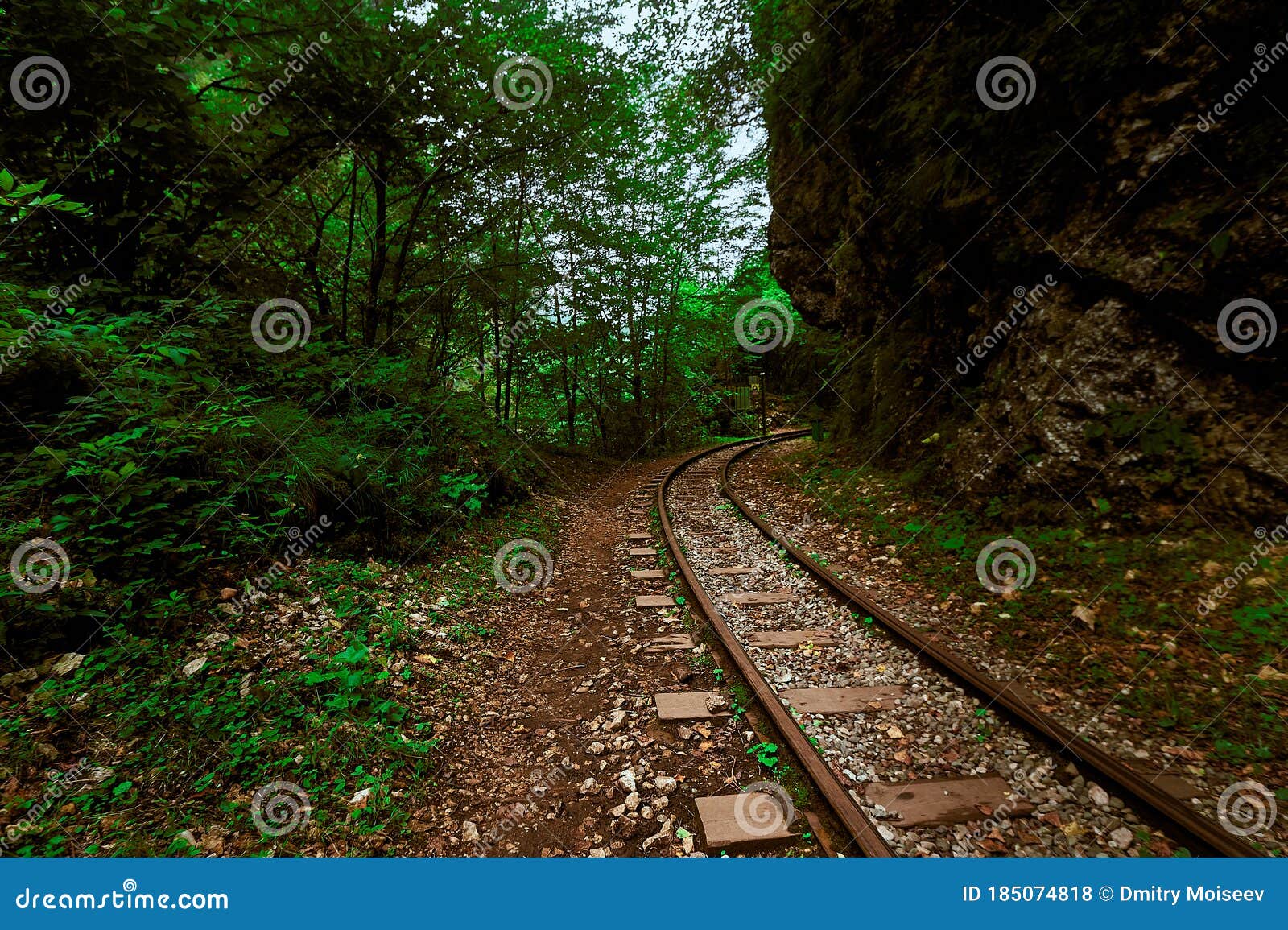 A Train on a Train Track with Trees in the Background Stock Photo ...
