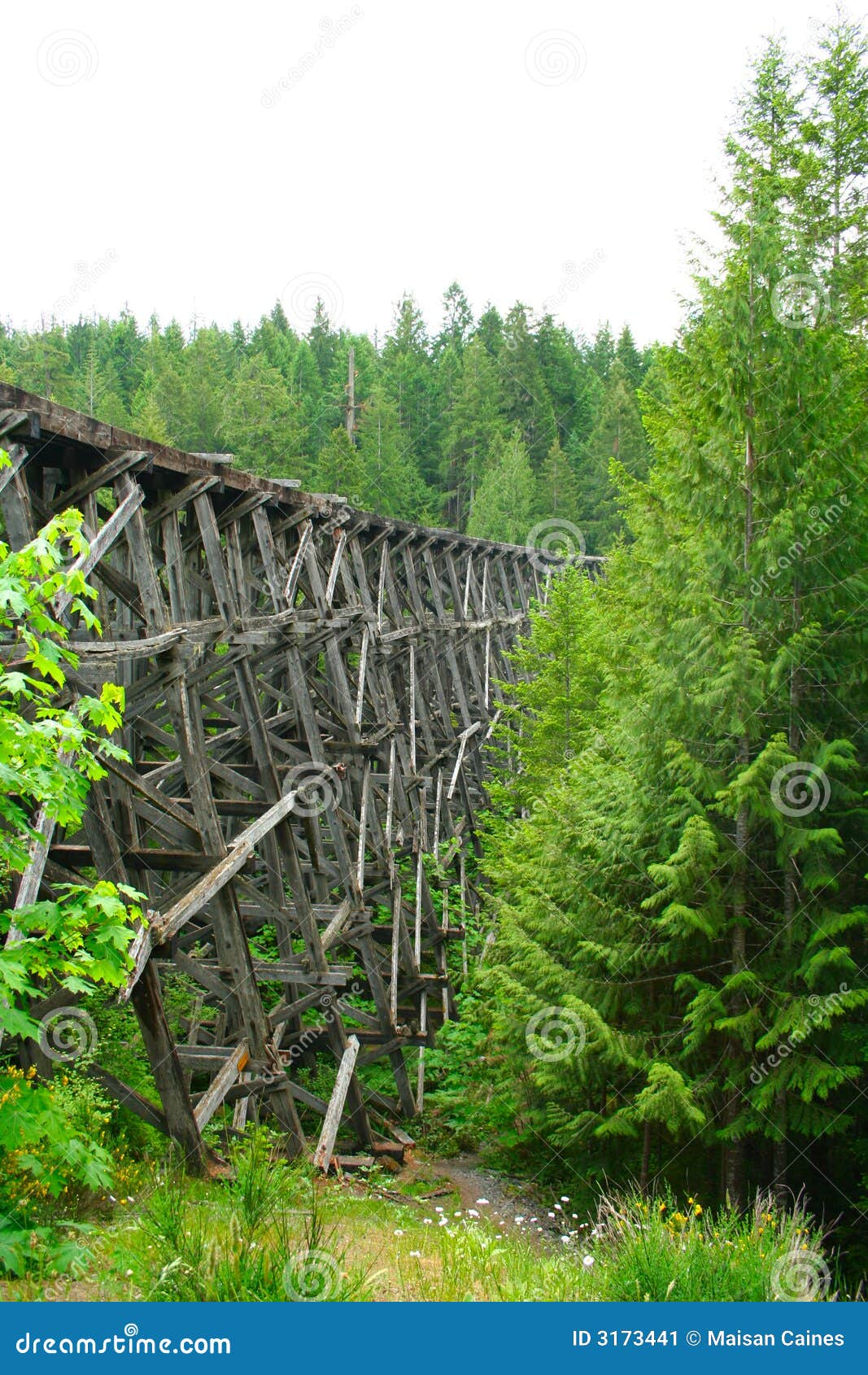 Train Trestle stock image. Image of tracks, structure - 3173441