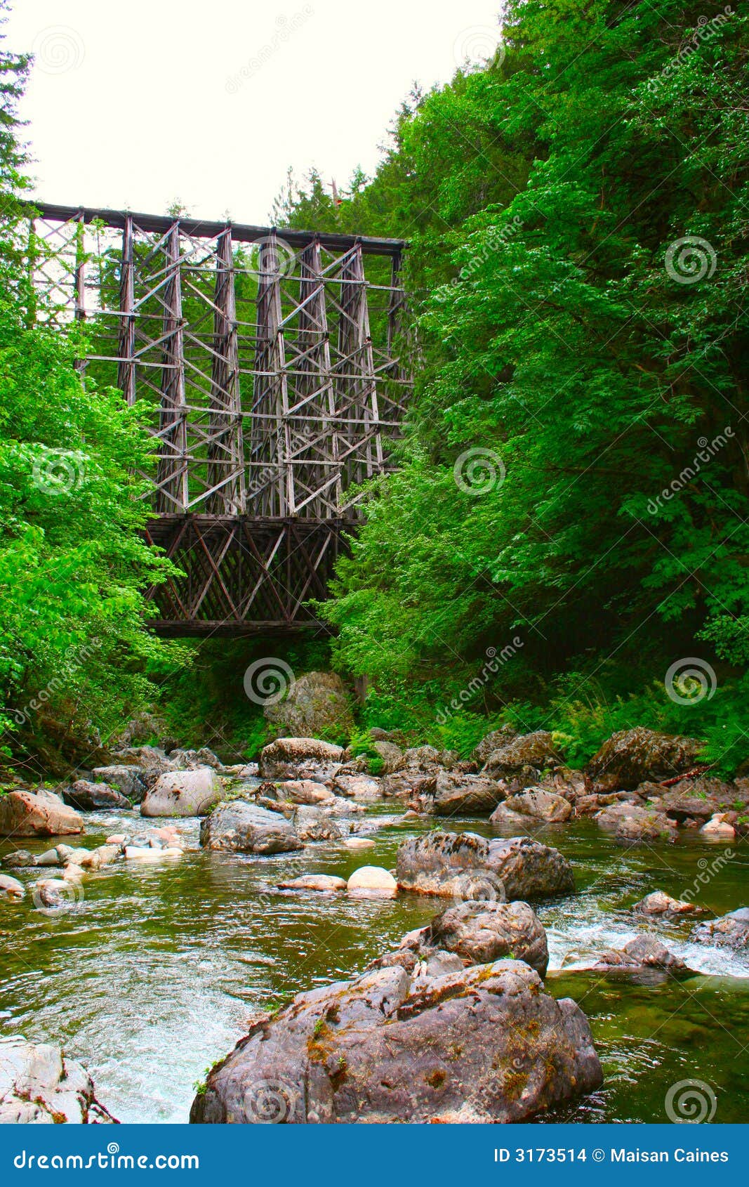 Train Trestle stock photo. Image of bridge, landscape - 3173514
