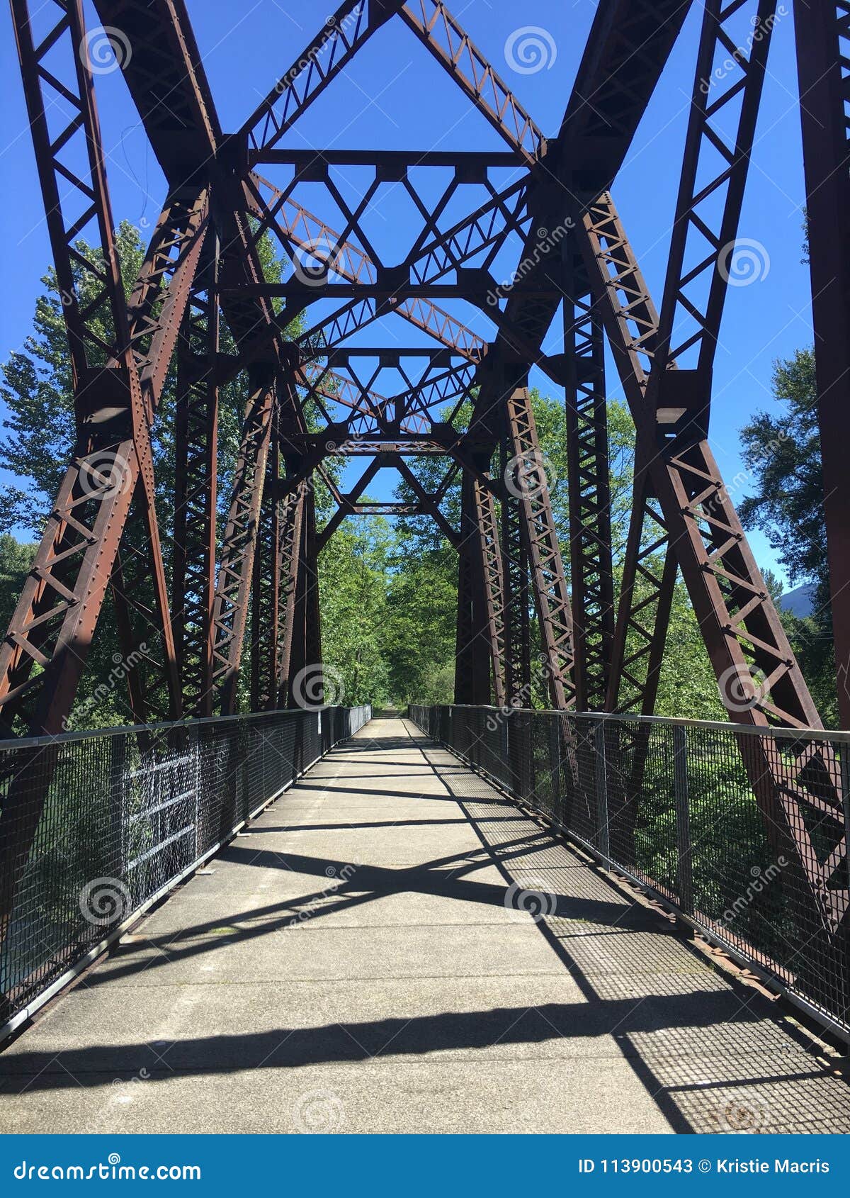 Train Trestle stock image. Image of walking, trestle - 113900543