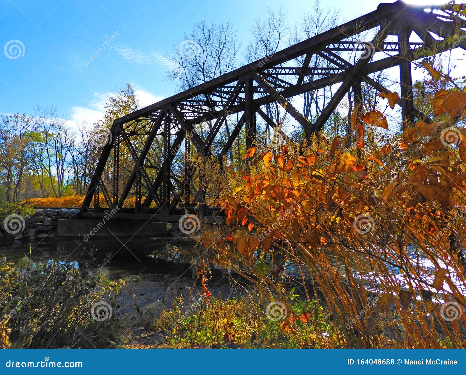 Salt Point Train Trestle Over Salmon Creek Tompkins County NYS Stock ...