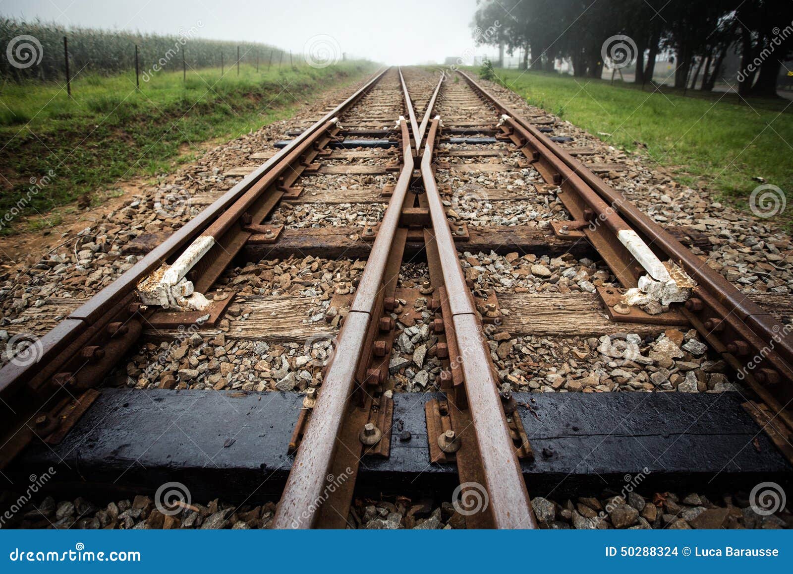 Train trucks split stock photo. Image of path, mist, fork - 50288324