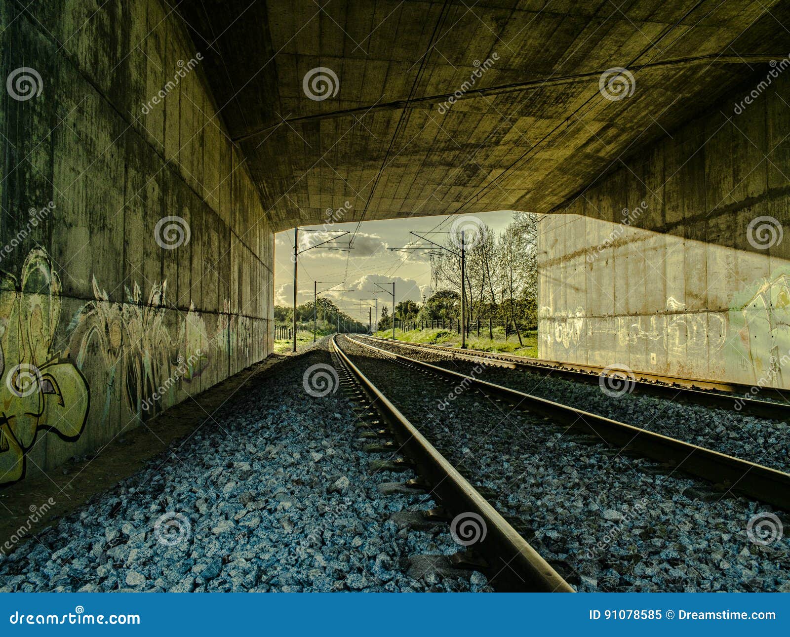 Train tunnel editorial image. Image of architecture, field - 91078585