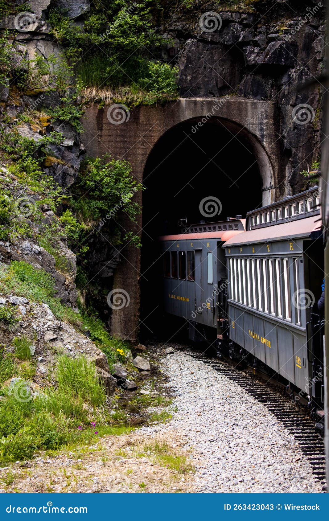 Train Tunnel Entrance stock image. Image of vertical - 263423043